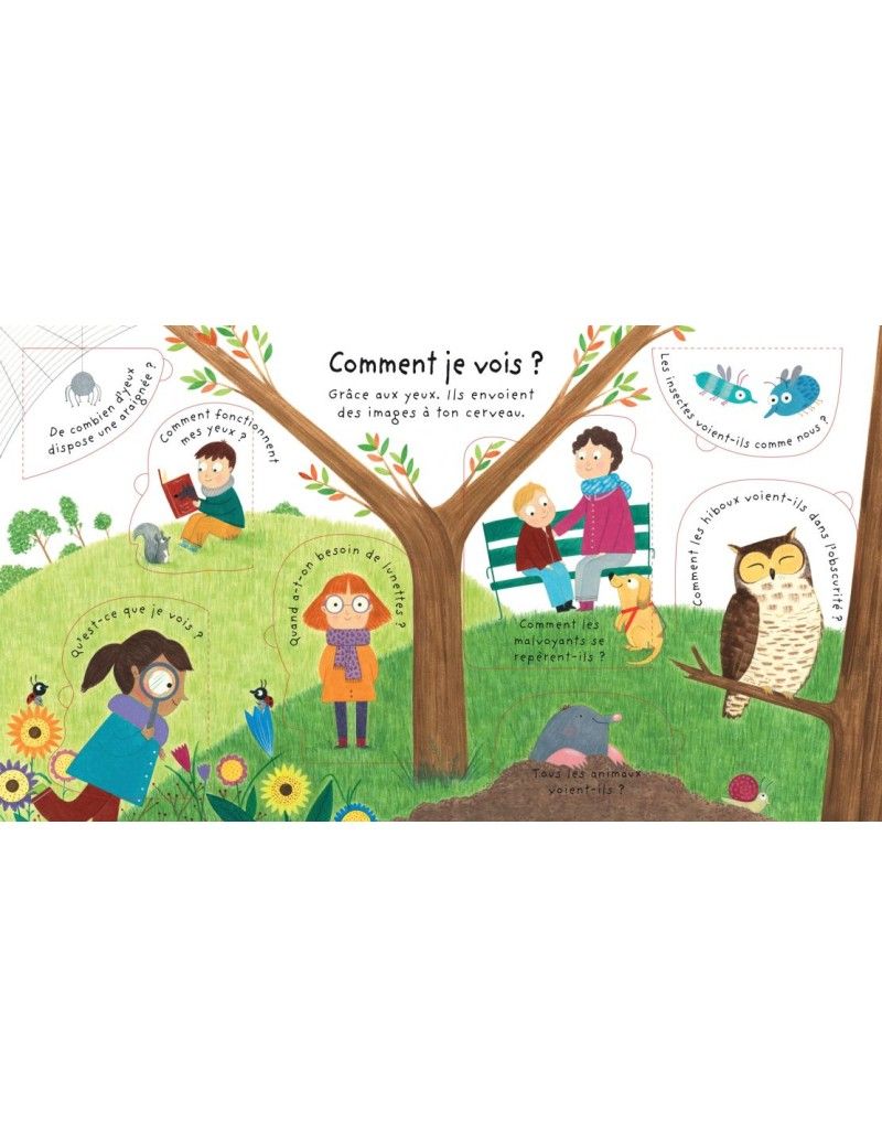 Comment je vois ? et d'autres questions sur les cinq sens